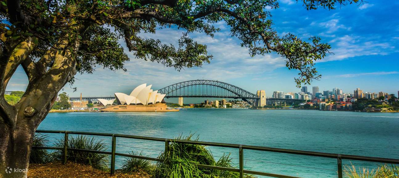 Morning Sydney Sights and Harbour Lunch Cruise Tour - Klook